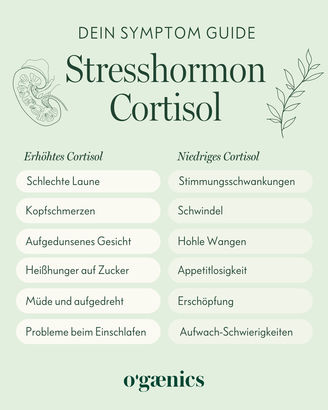 Lowering cortisol: How to beat stress and fatigue - Ogaenics.