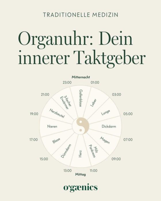 The Chinese organ clock - timekeeper of health - Ogaenics