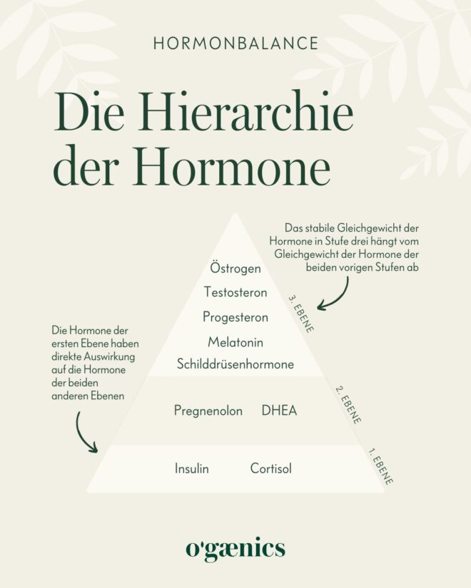 Understanding hormones and achieving balance - Ogaenics